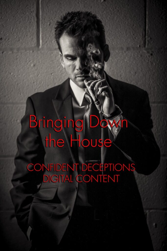 Bringing Down the House - Jason Ladanye